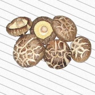 China Dried Shiitake Mushroom for sale