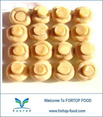 China Canned Mushroom for sale