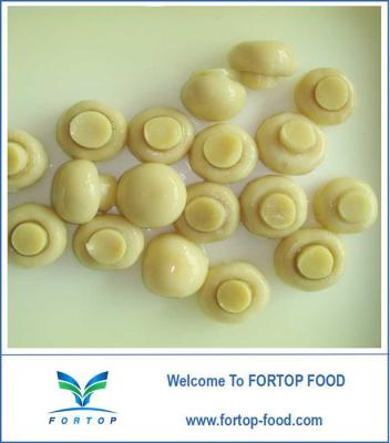 China Canned Bottom Mushroom for sale