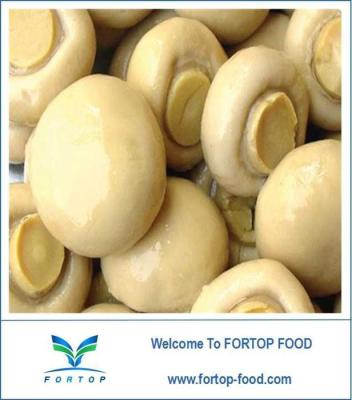 China Canned Mushroom In Boild Water for sale