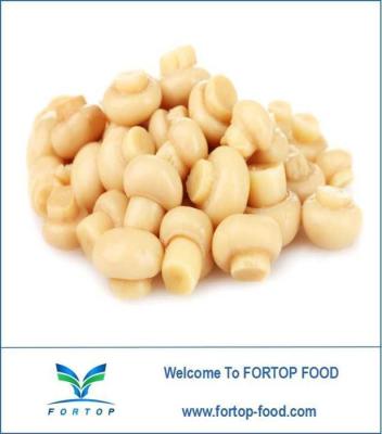 China Canned Mushroom In Brine for sale