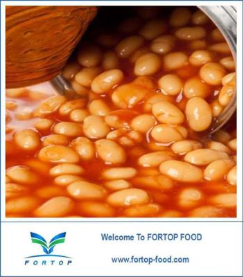 China Canned Baked Bean In Tomato Sauce Factory Direct for sale