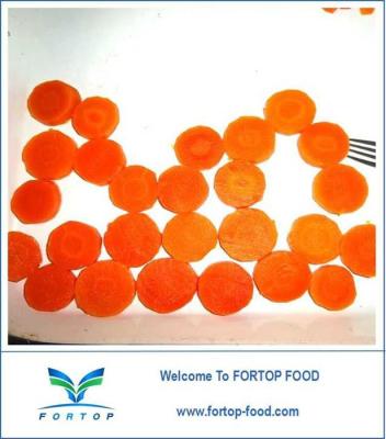 China Canned Carrot for sale