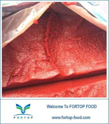 China Tomato Paste In Drum for sale