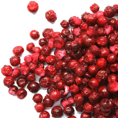 China Dried Cranberry Natural Organic Healthy Food Freeze Dried Fruit No Additive for sale