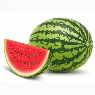 China Dried Watermelon  Natural Organic Healthy Food Freeze Dried Fruit No Additive for sale