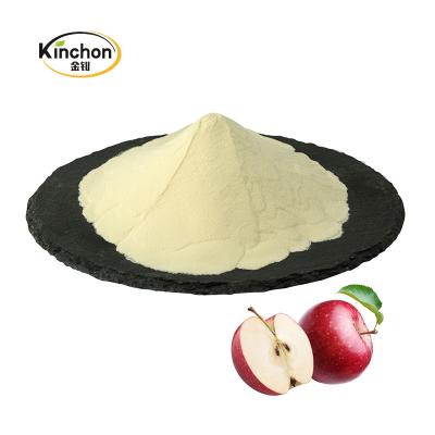China Natural Apple Powder 100% Purity Organic Fruit Juice Powder Healthy 40-120 Mush for sale