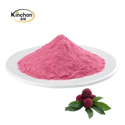 China Natural Waxberry Powder 100% Purity Organic Fruit Juice Powder Healthy 40-120 Mush for sale