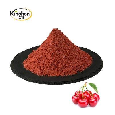 China Natural Cherry Powder 100% Purity Organic Fruit Juice Powder Healthy 40-120 Mush for sale