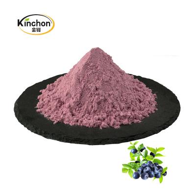 China Natural Blueberry Powder 100% Purity Organic Fruit Juice Powder Healthy 40-120 Mush for sale