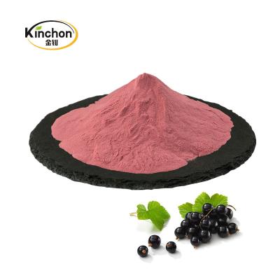 China Natural Blackcurrant Powder 100% Purity Organic Fruit Juice Powder Healthy 40-120 Mush for sale