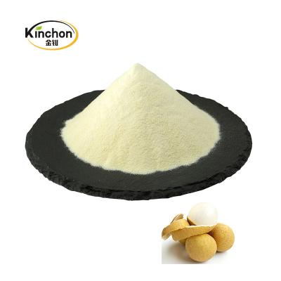 China Natural Longan Powder 100% Purity Organic Fruit Juice Powder Healthy 40-120 Mesh for sale
