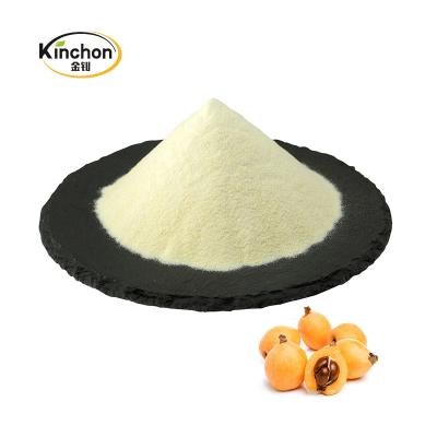 China Natural Loquat Powder 100% Purity Organic Fruit Juice Powder Healthy 40-120 Mesh for sale