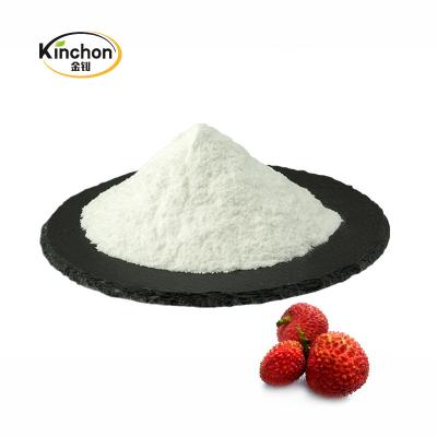 China Natural Lychee Powder 100% Purity Organic Fruit Juice Powder Healthy 40-120 Mesh for sale
