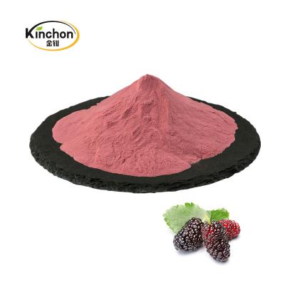 China Natural Mulberry Powder 100% Purity Organic Fruit Juice Powder Healthy 40-120 Mesh for sale