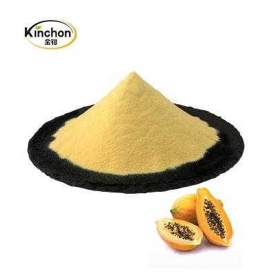 China Natural Papaya Powder 100% Purity Organic Fruit Juice Powder Healthy 40-120 Mesh for sale