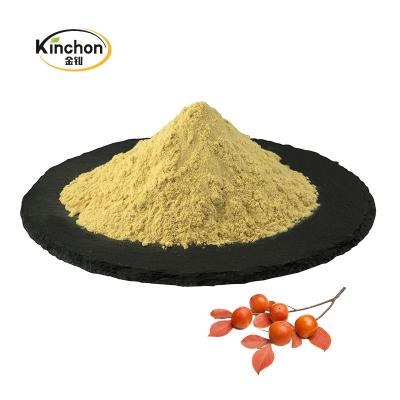 China Natural Persimmon Powder 100% Purity Organic Fruit Juice Powder Healthy 40-120 Mesh for sale