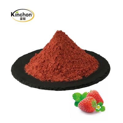 China Natural Strawberry Powder 100% Purity Organic Fruit Juice Powder Healthy 40-120 Mesh for sale
