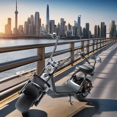 Cina Citycoco Scooter a batteria rimovibile a pneumatici grassi 1000W senza design pieghevole in vendita
