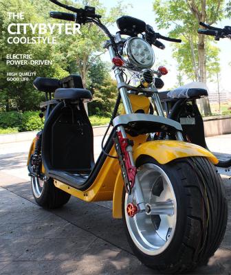 Cina Citycoco Scooter a batteria rimovibile a pneumatici grassi 1000W senza design pieghevole in vendita