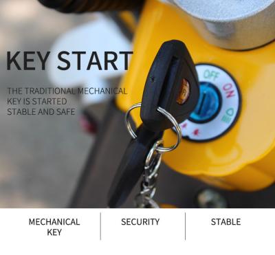 Cina Citycoco Scooter a batteria rimovibile a pneumatici grassi 1000W senza design pieghevole in vendita