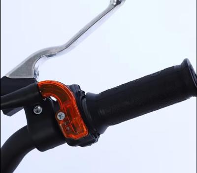 Cina Inventario delle biciclette sporche Motociclette e veicoli fuoristrada con velocità massima di 30 km/h in vendita