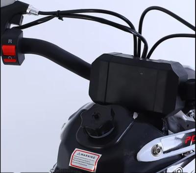 Cina Inventario delle biciclette sporche Motociclette e veicoli fuoristrada con velocità massima di 30 km/h in vendita