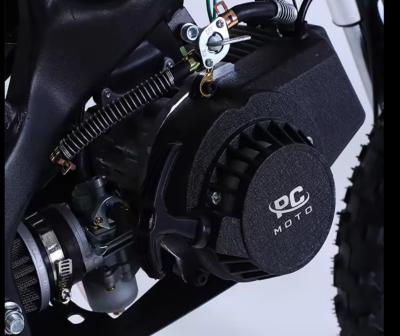 Cina Inventario delle biciclette sporche Motociclette e veicoli fuoristrada con velocità massima di 30 km/h in vendita