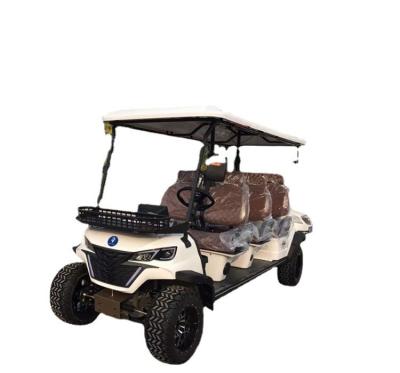 China Elektrische golfkarretje met afstroomvermogen 20-25° en wisselstroommotor 3,0 kW/3,5 kW/4,0 kW/5,0 kW Te koop