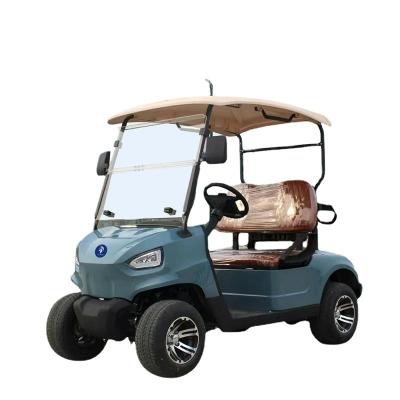 Cina 400-500 kg di peso a bordo carrello da golf elettrico con certificazione CE e specchio retrovisore in vendita