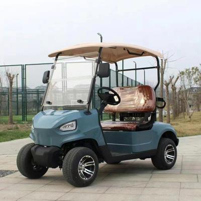 China Carrinho de golfe elétrico de 2 lugares com bateria de lítio Lake Horse com longo alcance e tração nas quatro rodas à venda