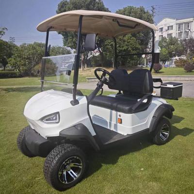 China Carrinho de golfe elétrico de 2 lugares com bateria de lítio Lake Horse com longo alcance e tração nas quatro rodas à venda