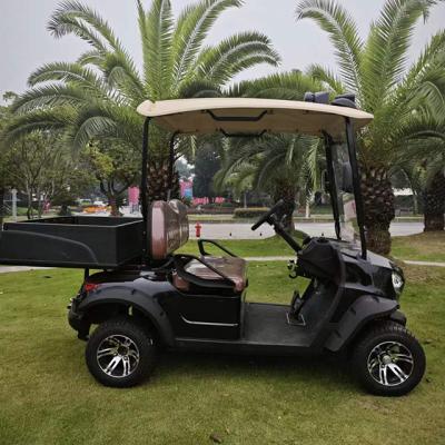 China Carrinho de golfe elétrico de 2 lugares com bateria de lítio Lake Horse com longo alcance e tração nas quatro rodas à venda