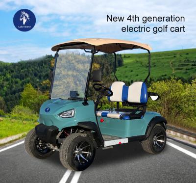 Cina Lake Horse, carrello da golf elettrico a due posti con trazione su quattro ruote e batteria al litio in vendita