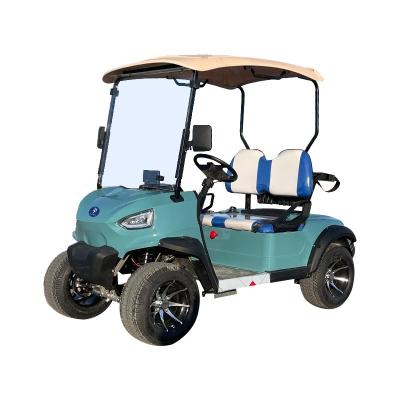 Cina Lake Horse, carrello da golf elettrico a due posti con trazione su quattro ruote e batteria al litio in vendita