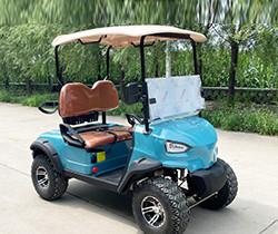 Cina Lake Horse, carrello da golf elettrico a due posti con trazione su quattro ruote e batteria al litio in vendita