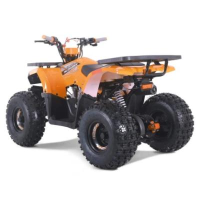 Cina 240 kg MAX LOAD ATV a trasmissione a catena a cilindro singolo per adulti all'insegna delle avventure fuoristrada in vendita