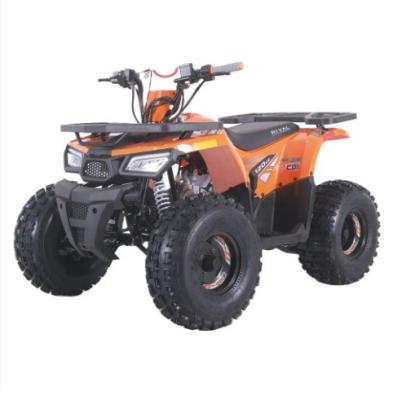 Cina 240 kg MAX LOAD ATV a trasmissione a catena a cilindro singolo per adulti all'insegna delle avventure fuoristrada in vendita