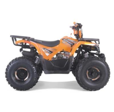 Cina 240 kg MAX LOAD ATV a trasmissione a catena a cilindro singolo per adulti all'insegna delle avventure fuoristrada in vendita