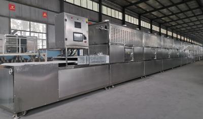 China Intelligent Microwave Continuous Drying Machine for sale