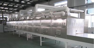 China Microwave Garlic Slice Dryer for sale