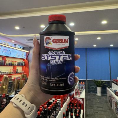 Cina Getsun Professional Radiator Cleaner Cooling System Radiator Flush in vendita