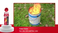 Portable Fire Extinguisher Spray Demo