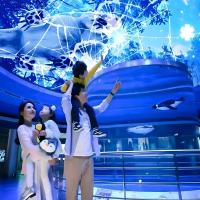 China Customizable Magic Sky Screen Hologram Canopy Projection Interactive Projector for sale