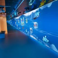 China Immersive Exploration Classrooms Augmented Reality Interactive Wall Projection for sale