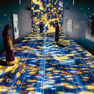 China Restaurante inmersivo holográfico Proyector holográfico inmersivo Proyección de salón de bodas en venta