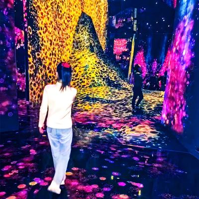 China Projector Imersivo de Realidade Virtual Show do Museu Projeção Interativa do Aquário à venda