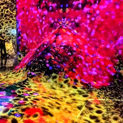 China 120inch-650 Inch Laser Touch Interactive Game Support Interactive Floor Wall System for sale