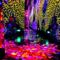 China Interactive Experience Naked Eye Virtual 3d Indoor Immersive Exhibition for sale