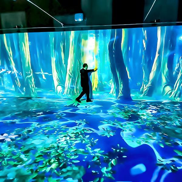 Projeção de Arte Digital Mapeamento Museu/Exposição Imersiva Projeção de Parede 360